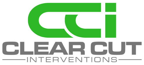 Energy & Resources Services in Australia | CCI